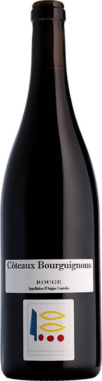 Buy Domaine Prieure Roch : Coteaux-Bourguignons 2019 wine online ...