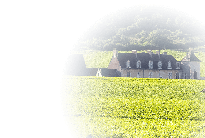 Charmes-Chambertin
