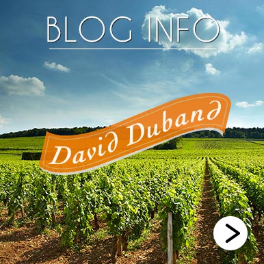 David Duband, Fine Wine from Burgundy - Millesima-usa.com