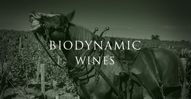 Biodynamic Wines : Buy Biodynamic Wine Online - Millesima