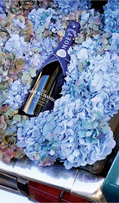 Moët & Chandon x Pharrell Williams - Millesima.com
